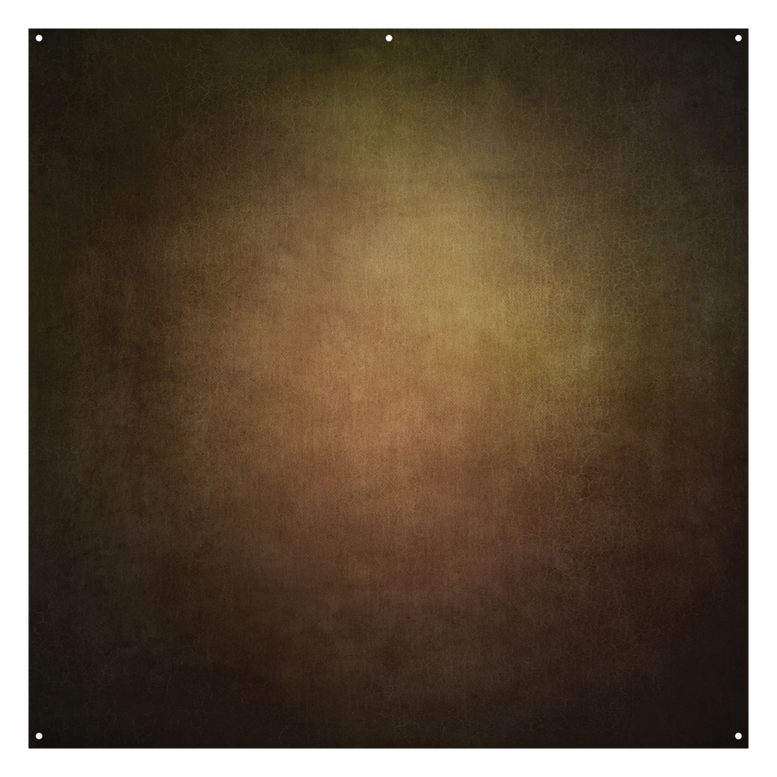 X-Drop Pro Backdrop System