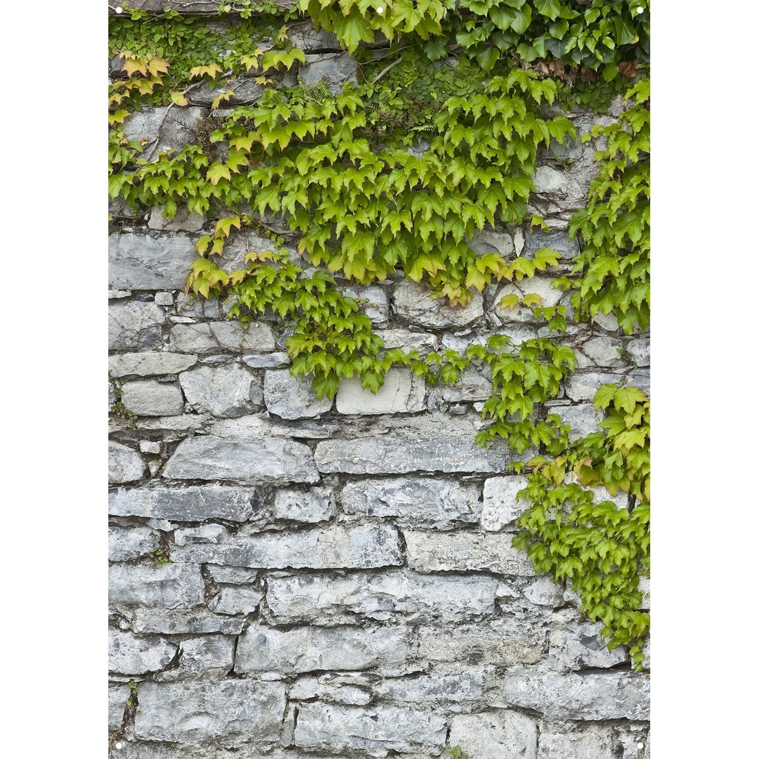 Smooth Stone Wall